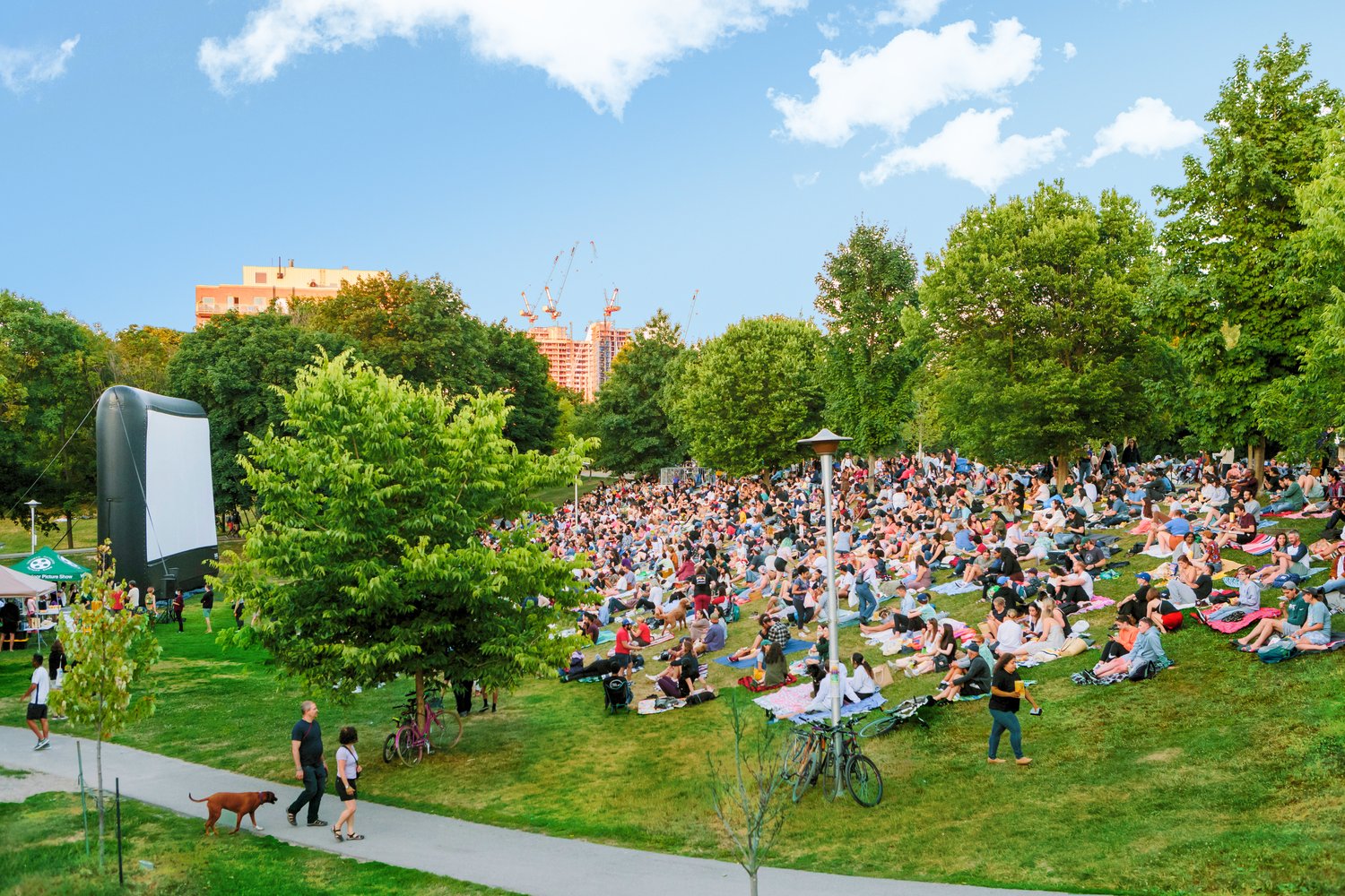 トロント8月のイベント – North Peak留学センター